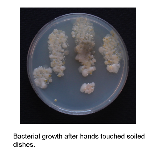 Cross Out Cross Contamination – FoodHandler®