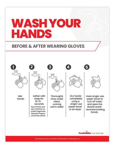 Downloads – FoodHandler®